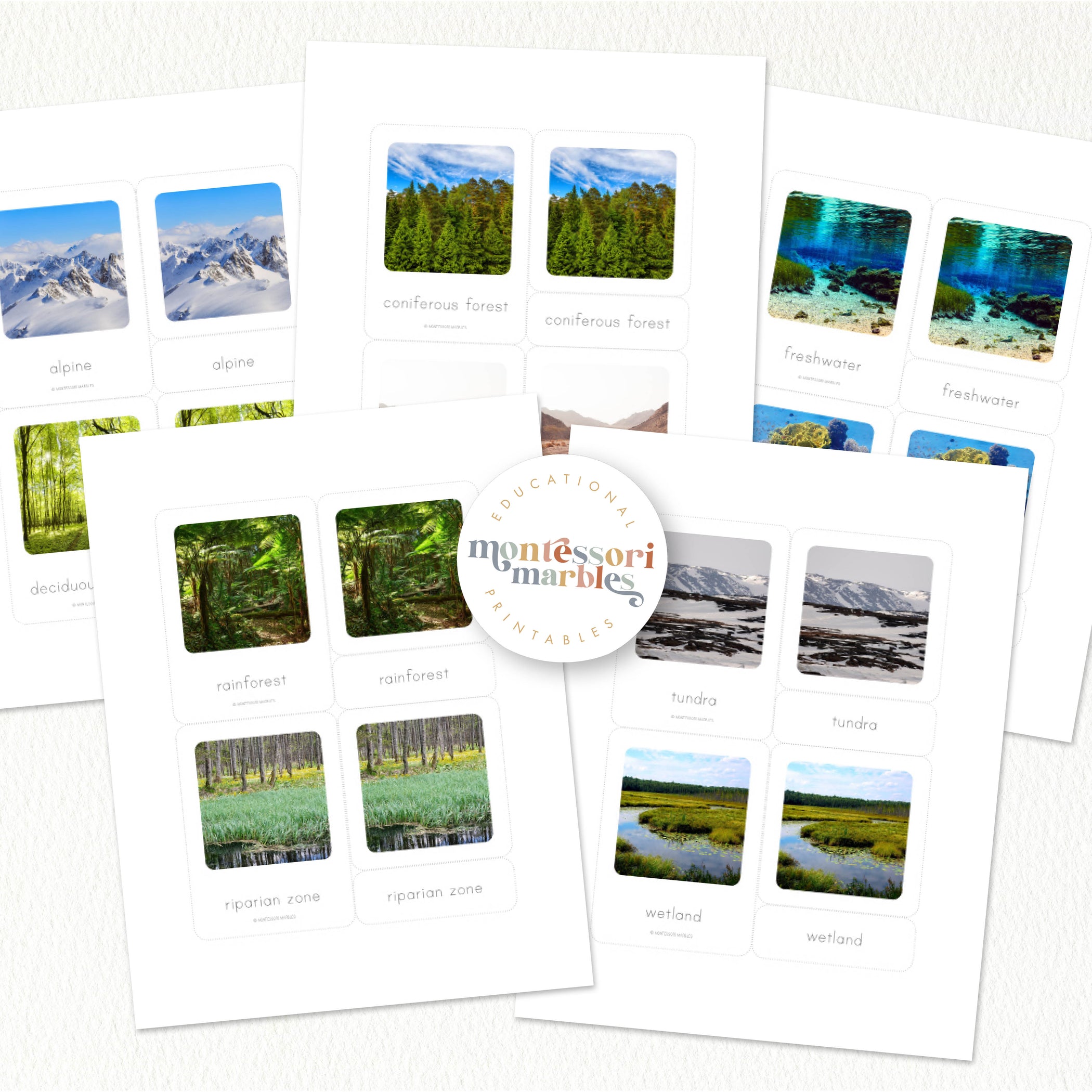 Biomes Nomenclature Cards — Montessori Marbles