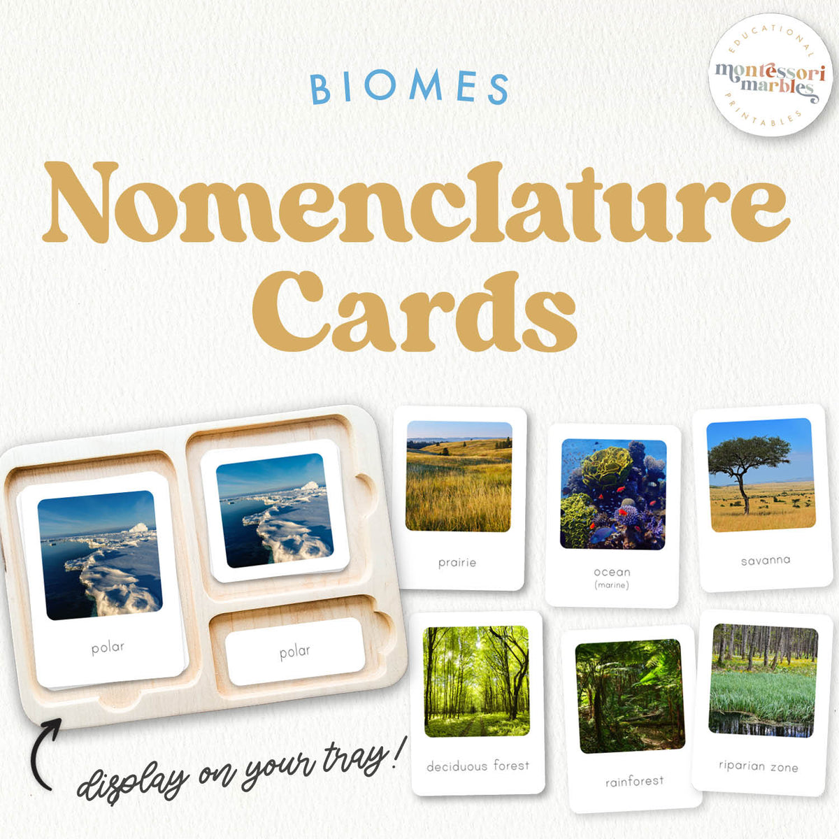 Biomes Nomenclature Cards — Montessori Marbles