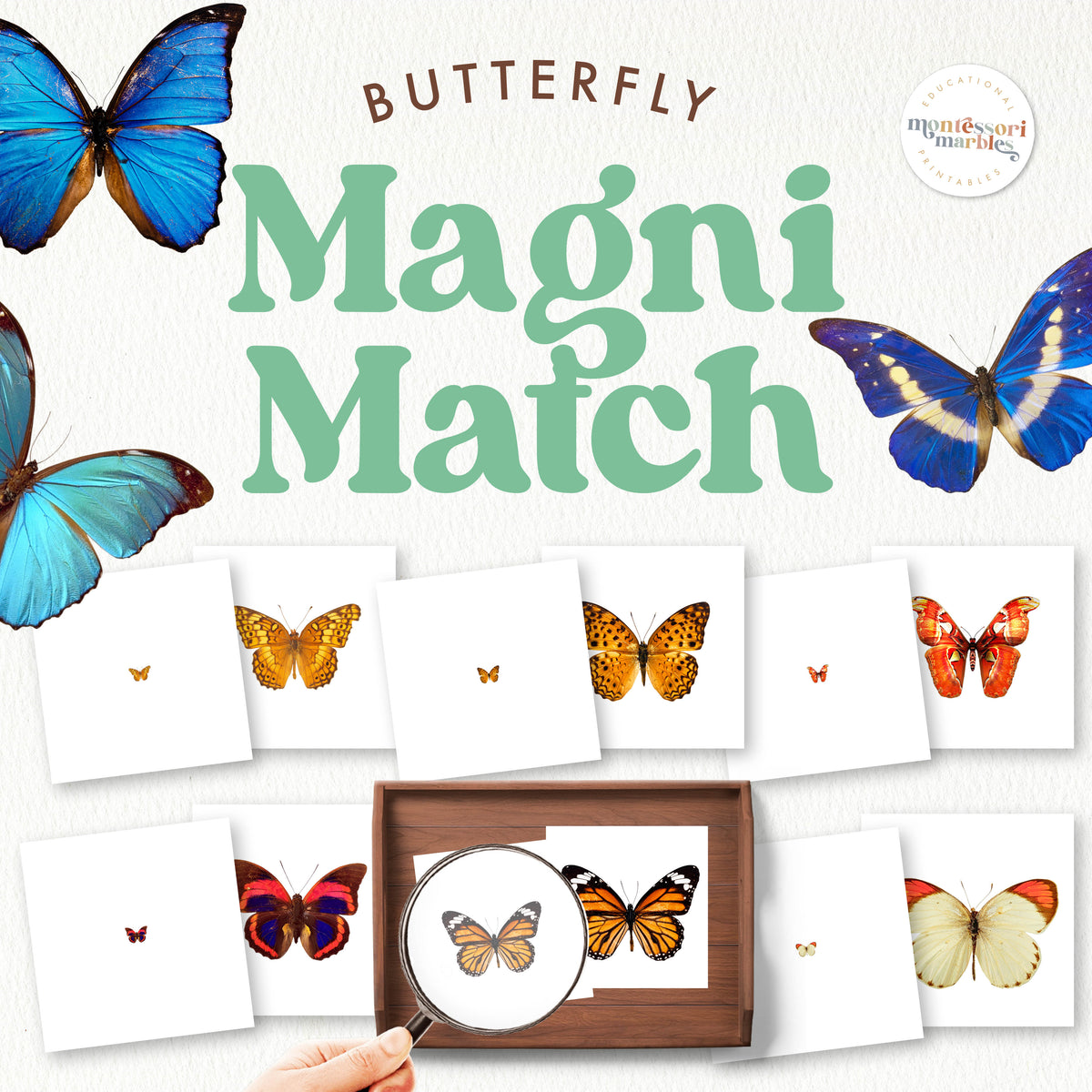 Butterfly Magni Match | Magnifying Glass Activity Ages 3-6 Spring ...