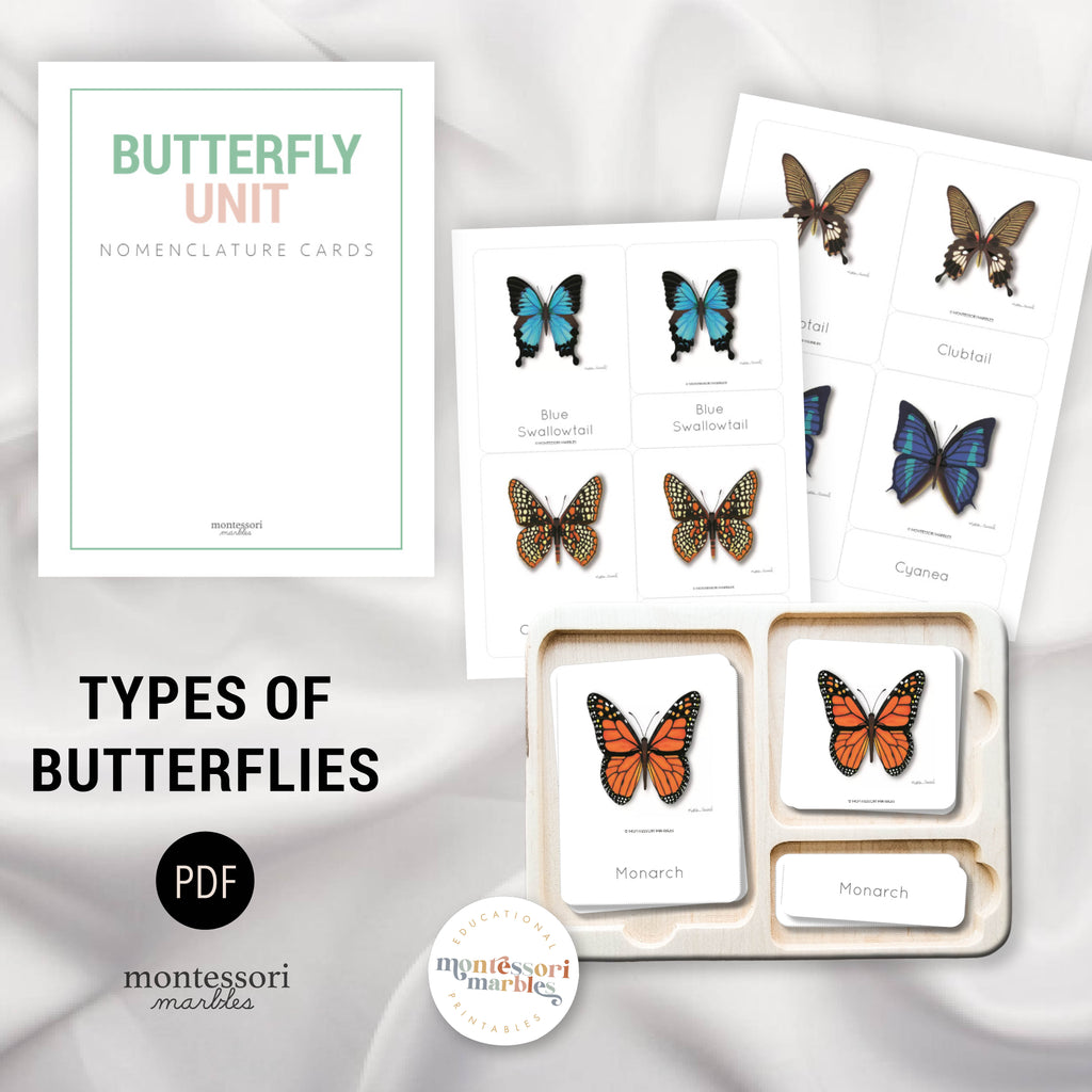 Butterfly — Montessori Marbles