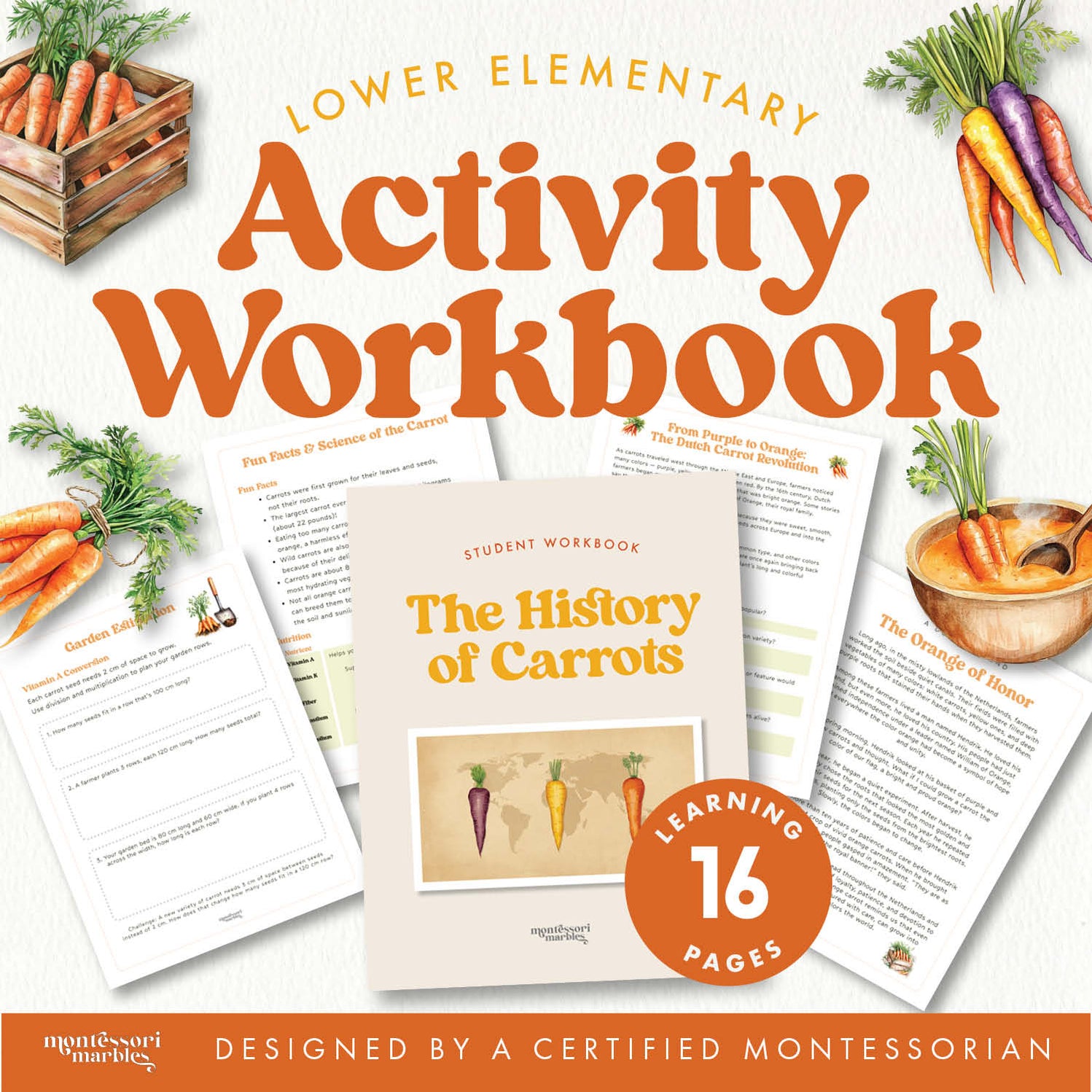Carrot Science Workbook | Plant History Ages 8-9 | Elementary PDF ...