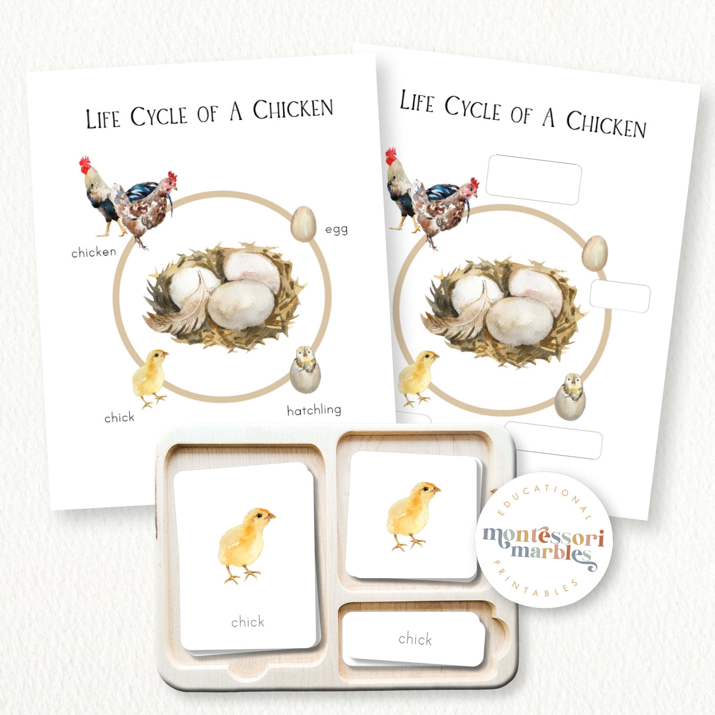 Chicken Life Cycle Cards | Farm Animal Science Ages 3-7 Montessori PDF ...