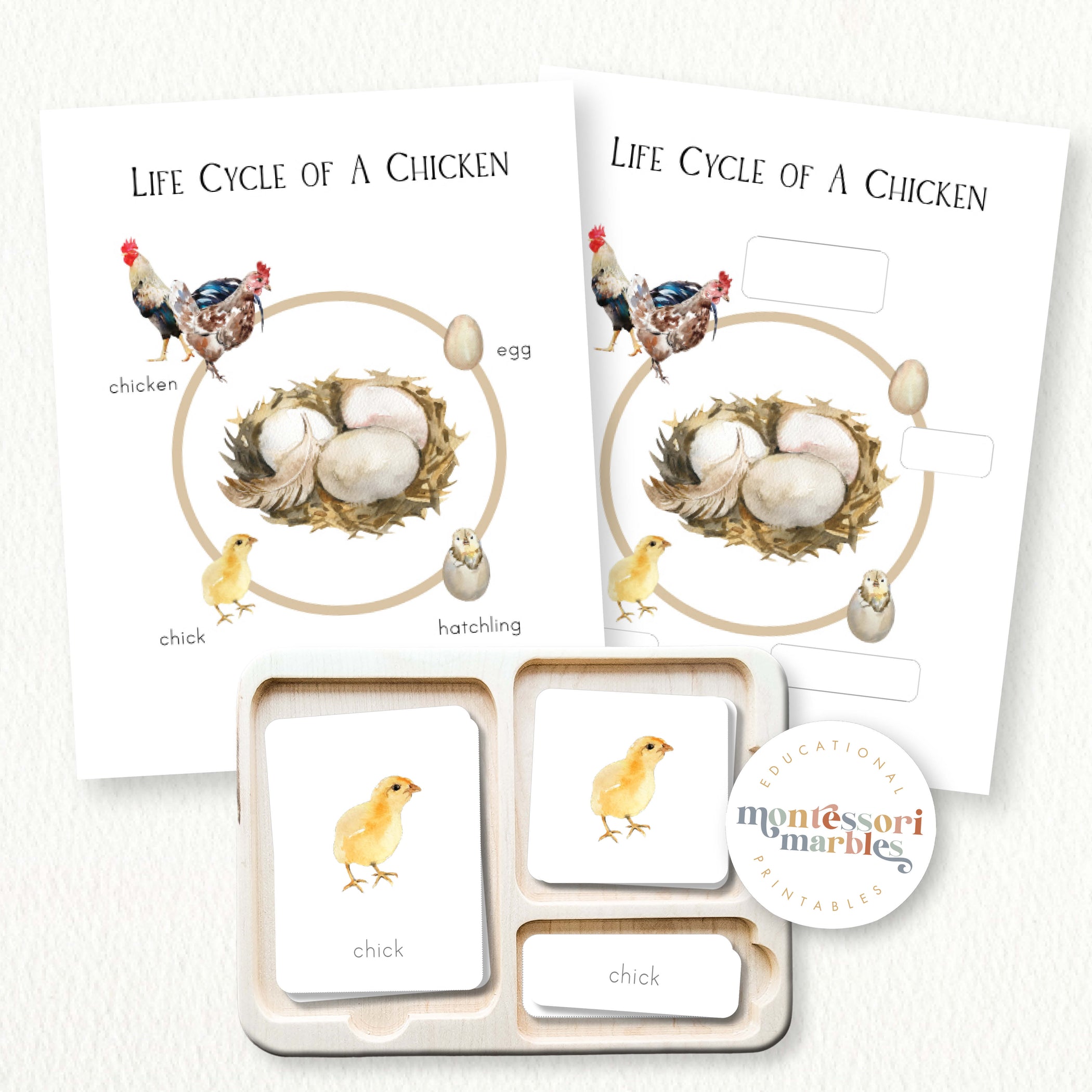 Chicken Life Cycle Cards | Farm Animal Science Ages 3-7 Montessori PDF ...