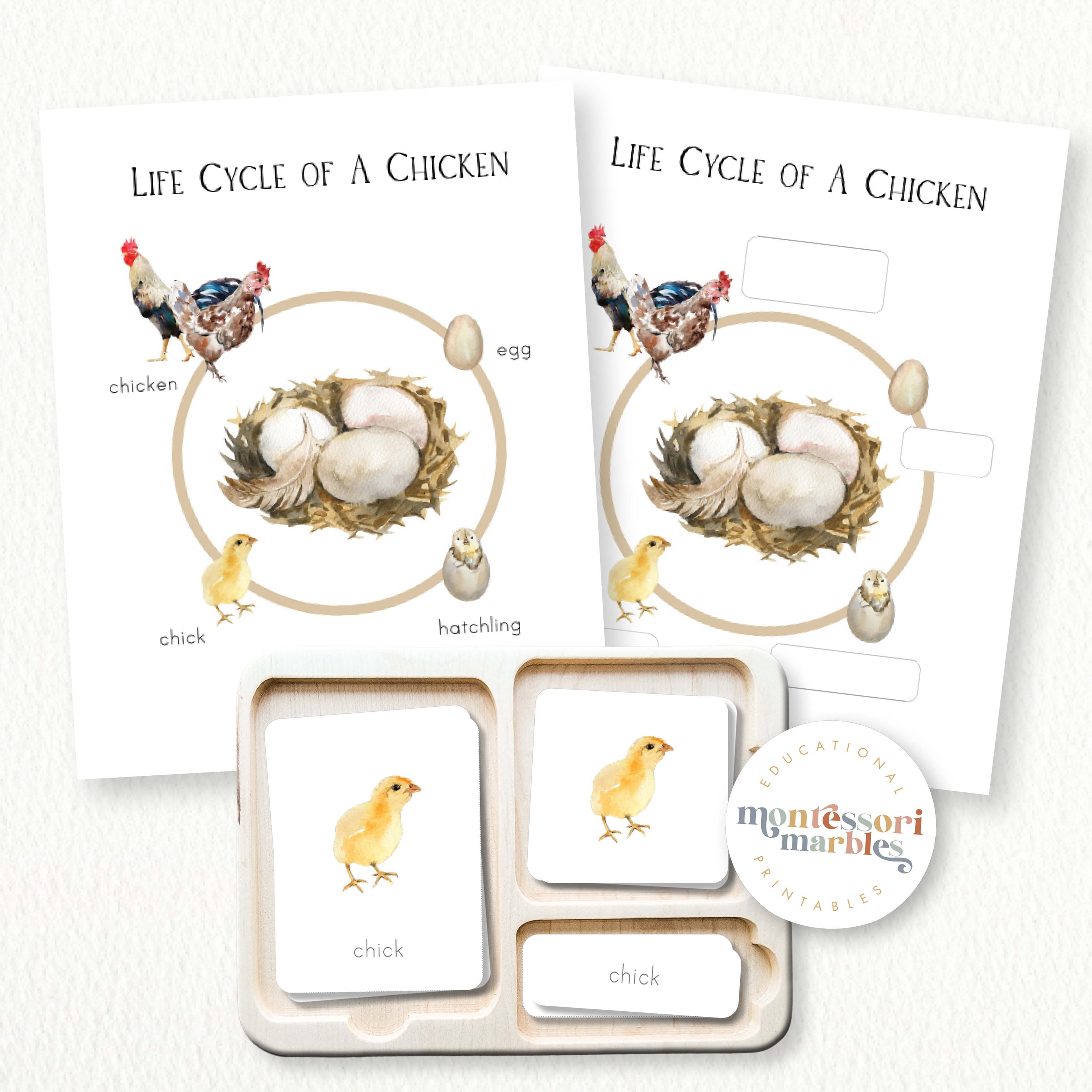 Chicken Life Cycle Cards | Farm Animal Science Ages 3-7 Montessori PDF ...