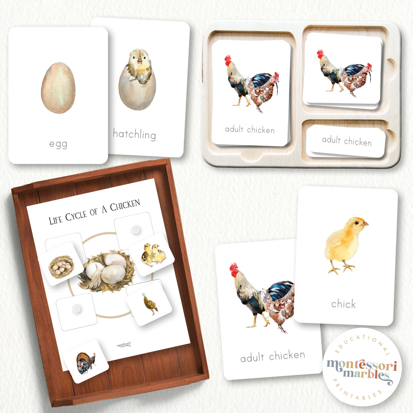 Chicken Life Cycle Cards | Farm Animal Science Ages 3-7 Montessori PDF ...