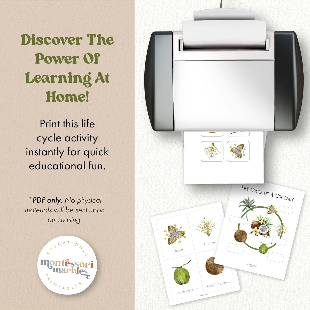 Coconut Life Cycle & Nomenclature Cards | Montessori Printable Activity ...