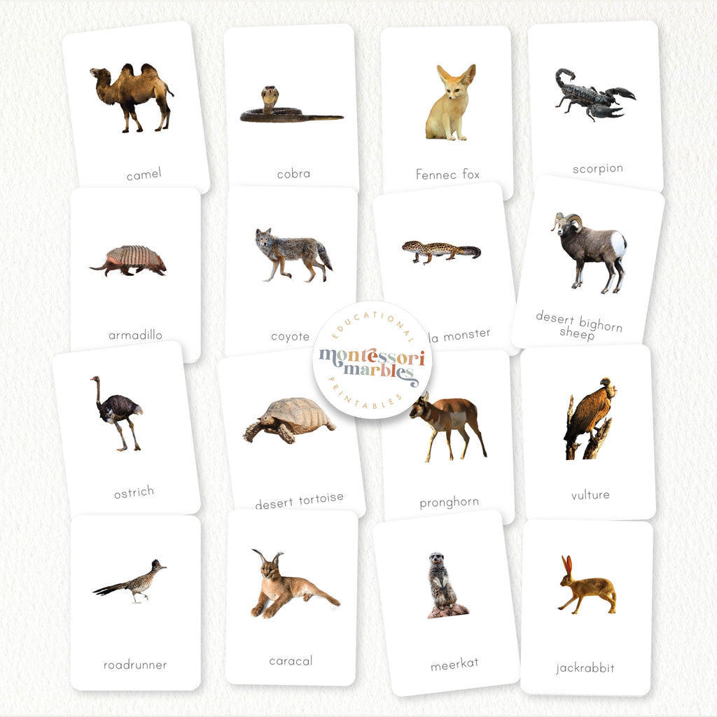 Desert Animals — Montessori Marbles