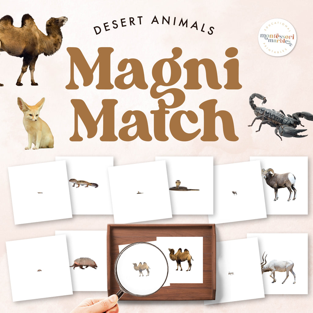 Desert Animals — Montessori Marbles