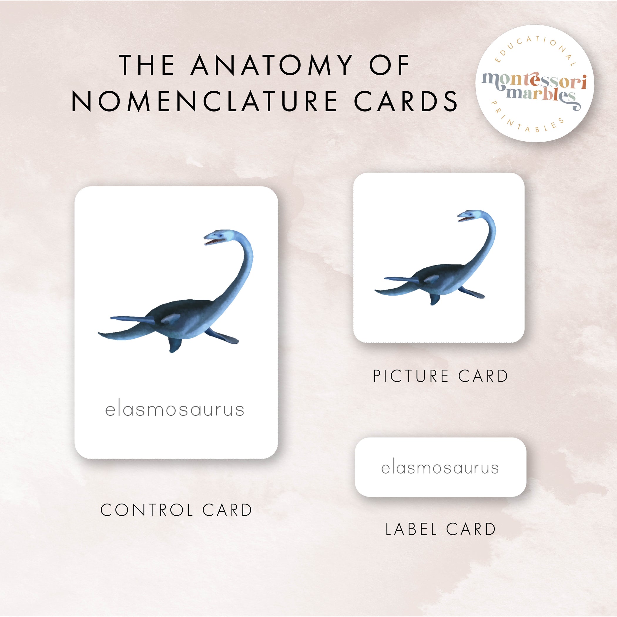 Dinosaur Nomenclature Cards | 18 Prehistoric 3-Part Cards Ages 4-7 ...