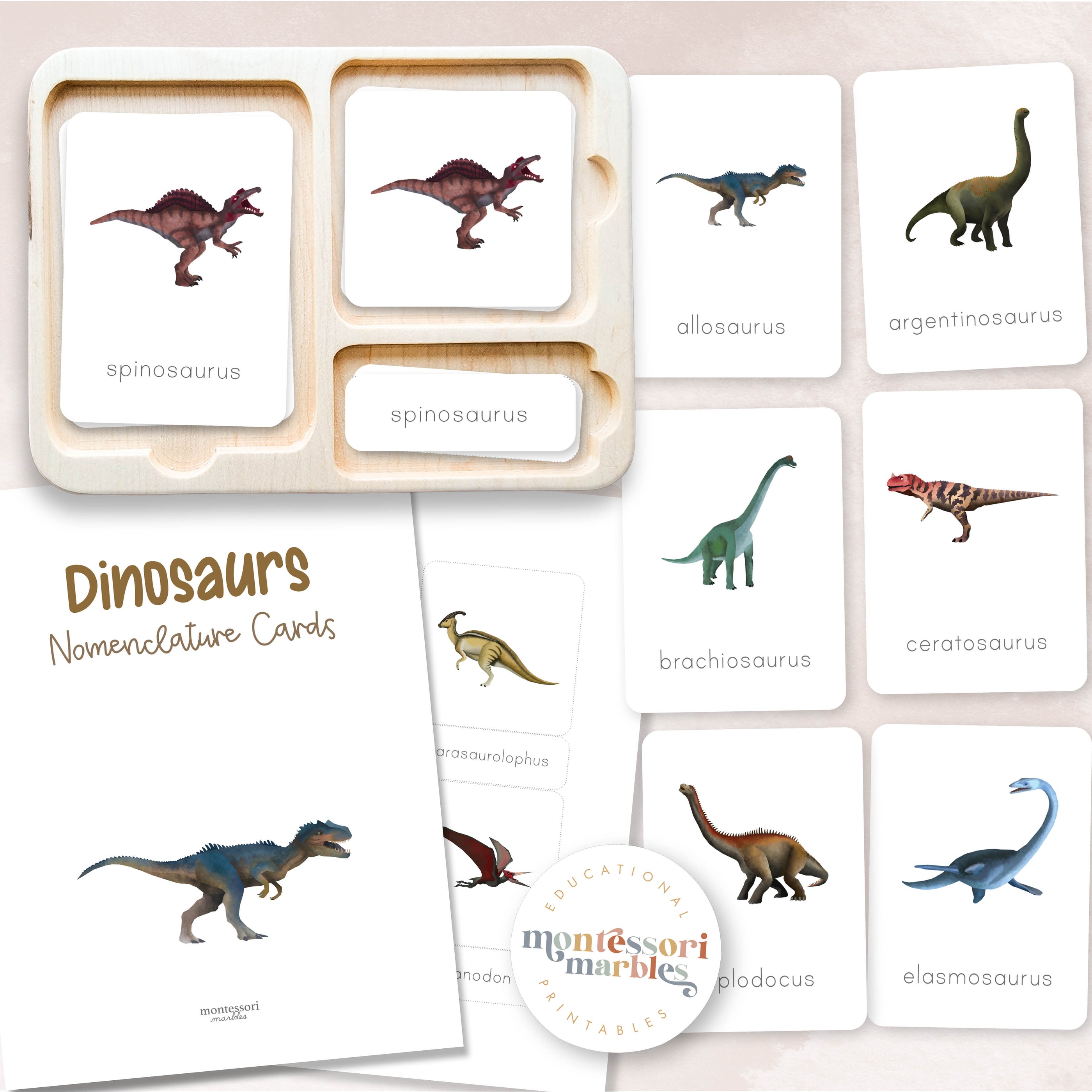 Dinosaur Nomenclature Cards | 18 Prehistoric 3-Part Cards Ages 4-7 ...