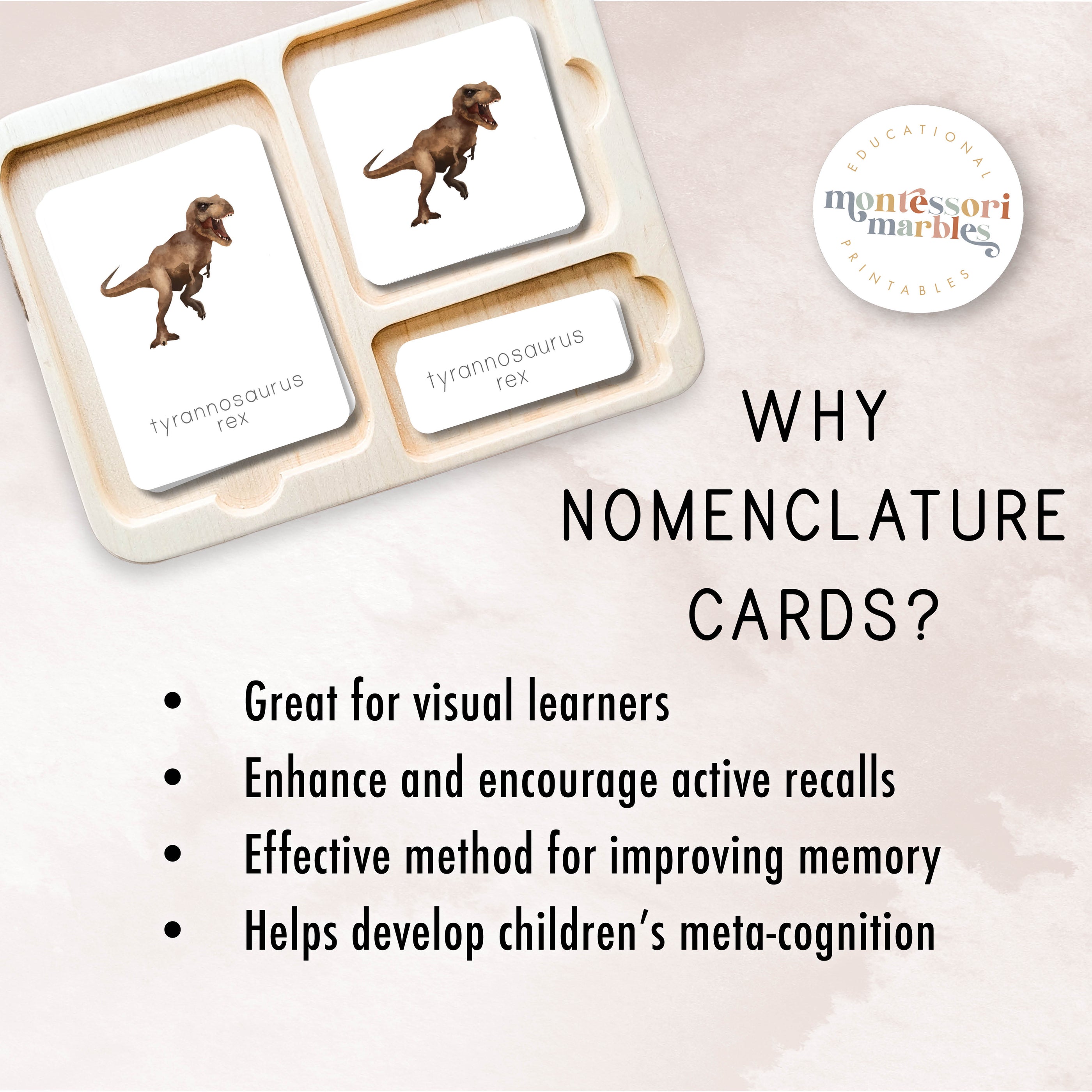 Dinosaur Nomenclature Cards | 18 Prehistoric 3-Part Cards Ages 4-7 ...