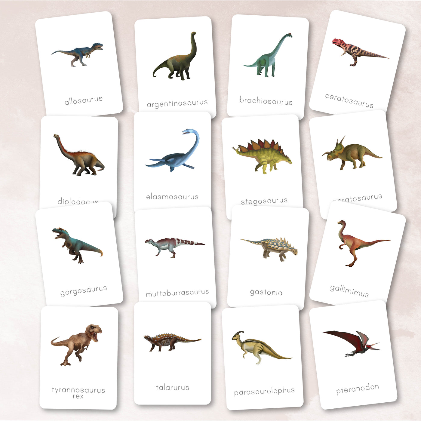 Dinosaur Nomenclature Cards | 18 Prehistoric 3-Part Cards Ages 4-7 ...