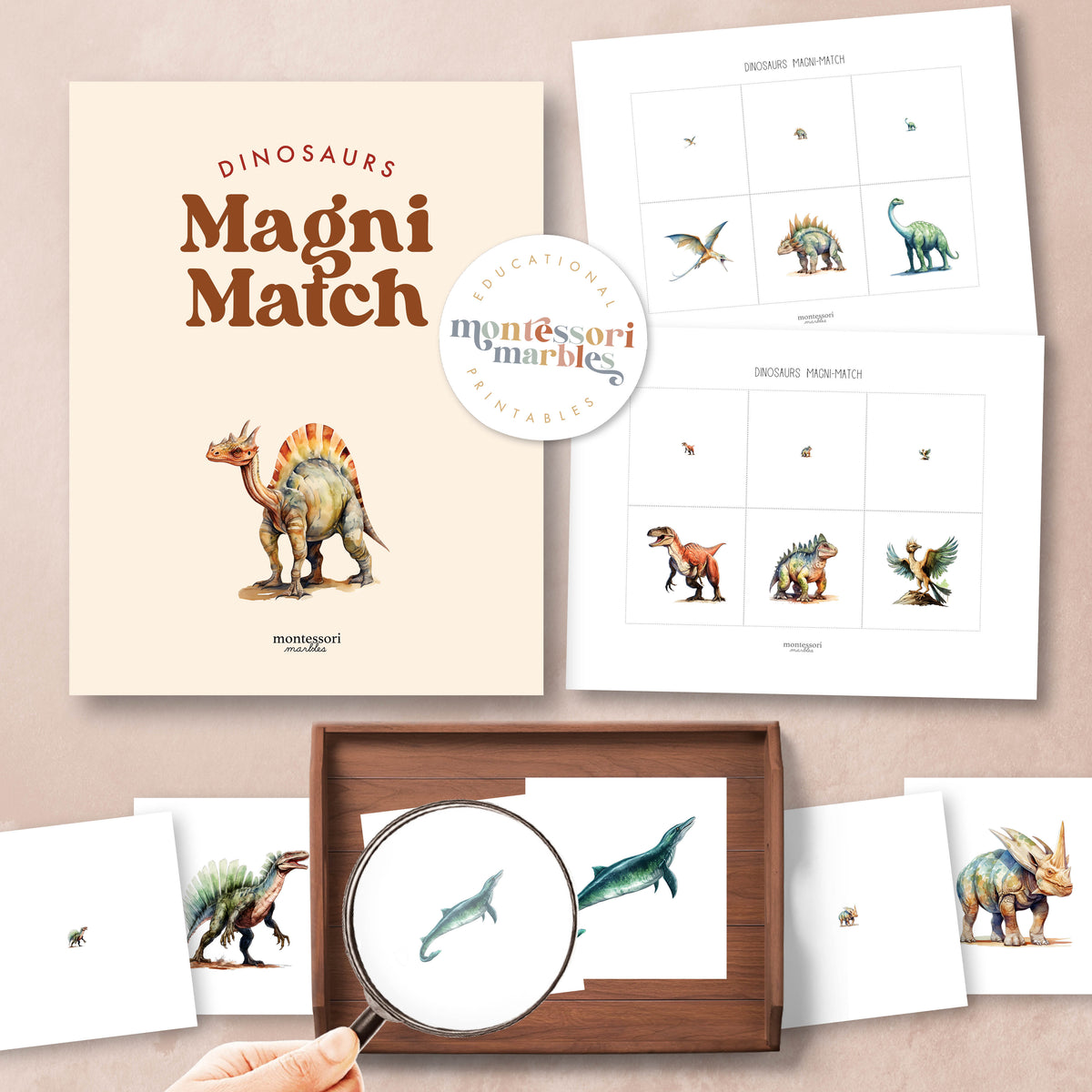 Dinosaurs Magni-Match | Montessori Inspired Activity – Montessori Marbles