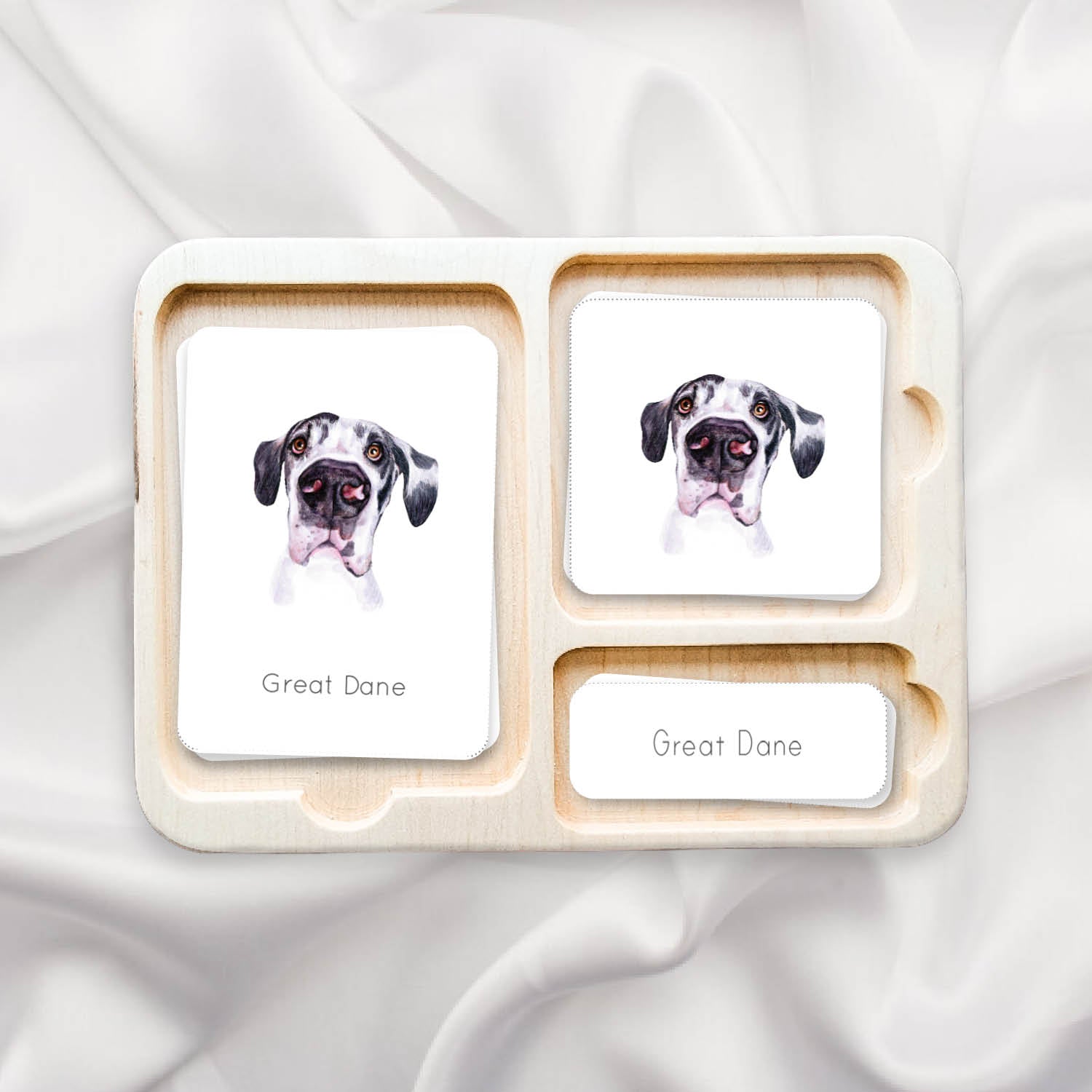 Dogs Nomenclature Cards – Montessori Marbles