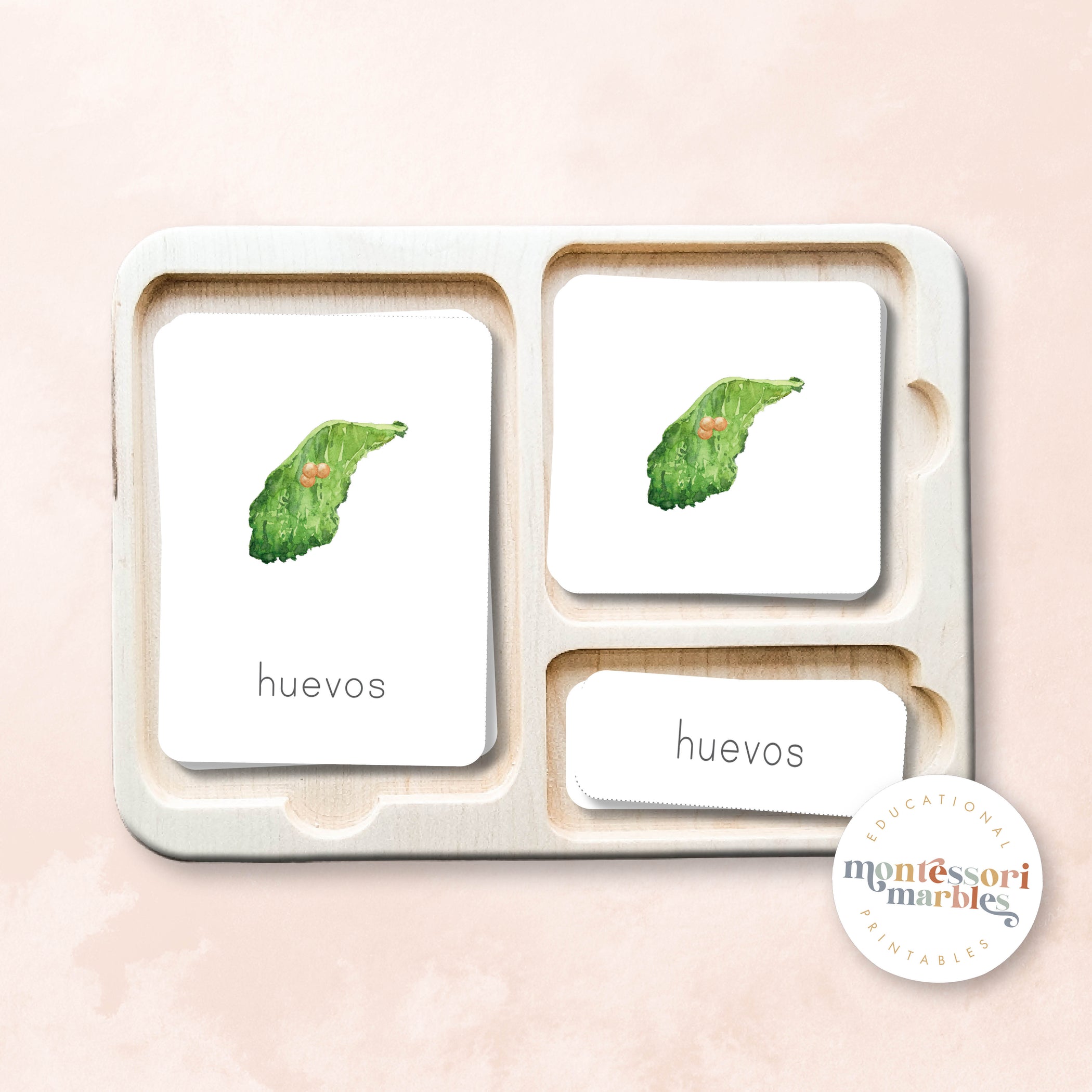 Ciclo de Vida Caracol | Spanish Life Cycle Snail Cards PDF Ages 6-9 ...