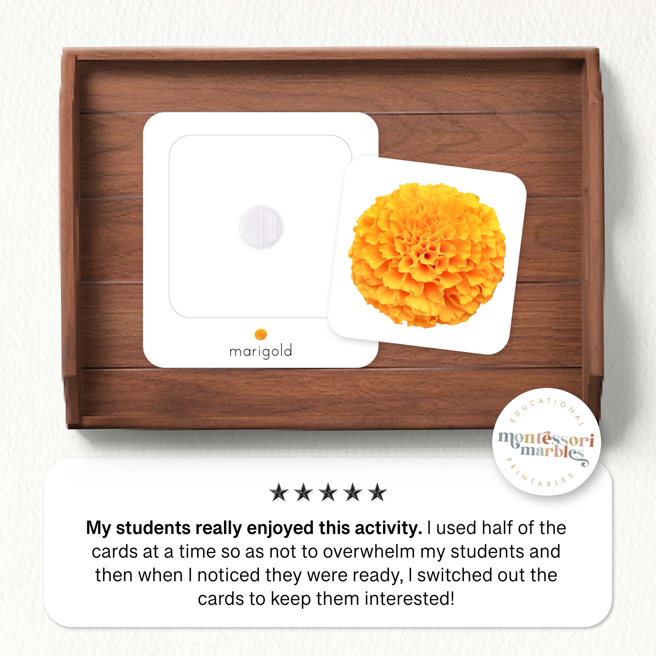 Flowers Magni Match | 20 Sets Magnifying Glass Spring Game Ages 3-6 ...