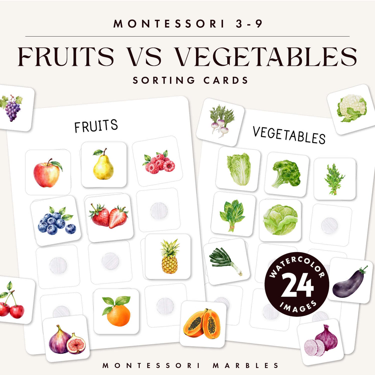 Fruits & Vegetables Sorting Cards | Montessori Botany Ages 3 to 6 ...