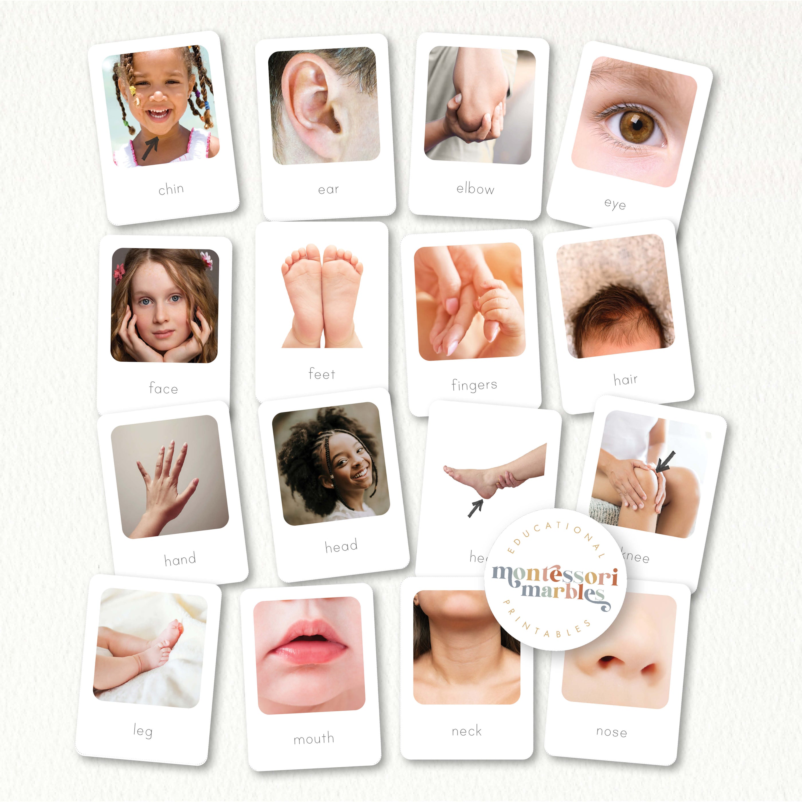 Human Body Flash Cards | 20 Body Parts Anatomy Science Ages 3-6 PDF ...