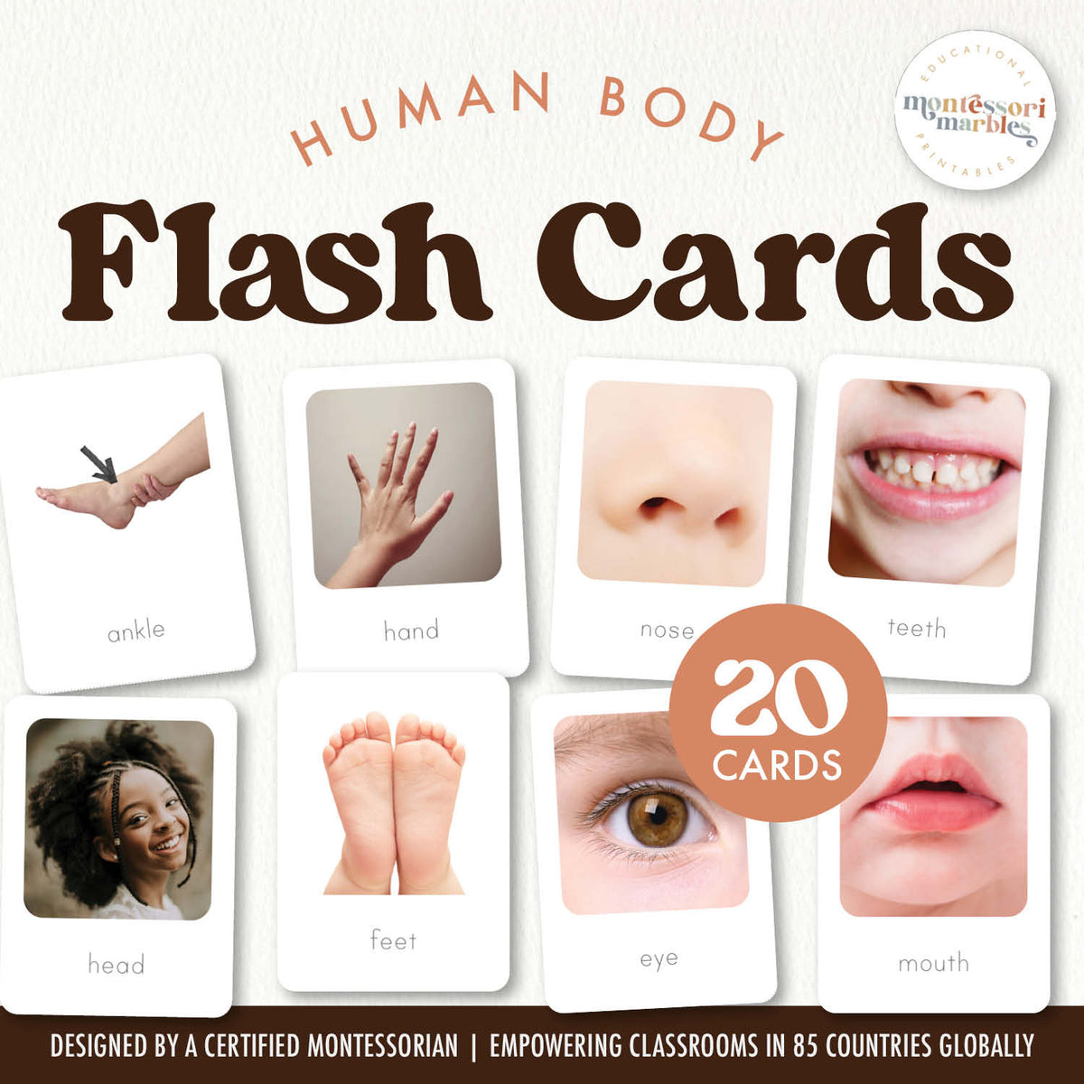 Human Body Flash Cards | 20 Body Parts Anatomy Science Ages 3-6 PDF ...