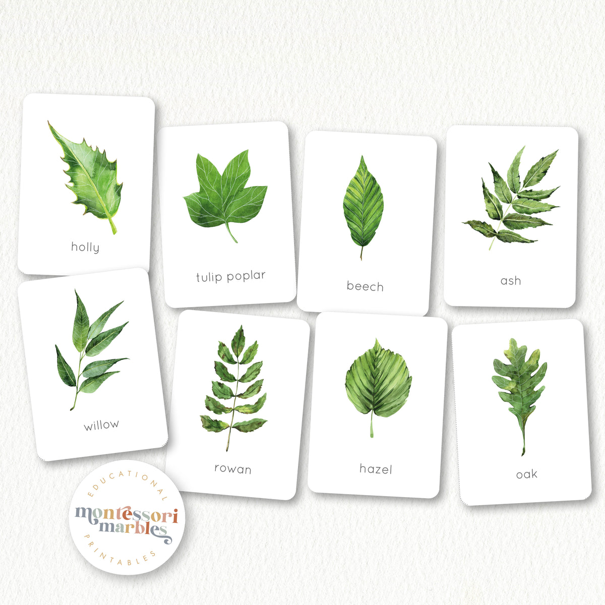 Leaves Flash Cards – Montessori Marbles