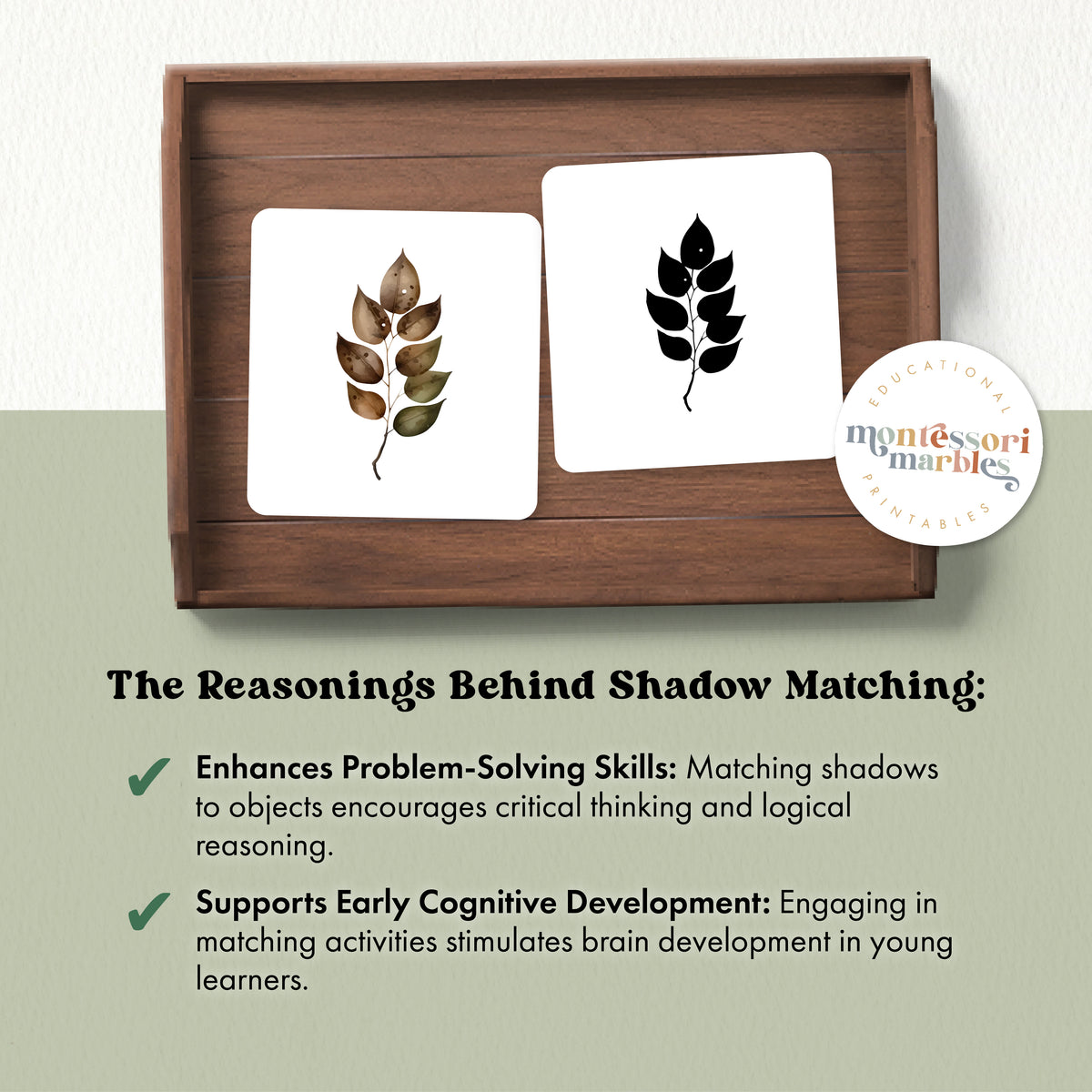 Leaves Shadow Matching – Montessori Marbles