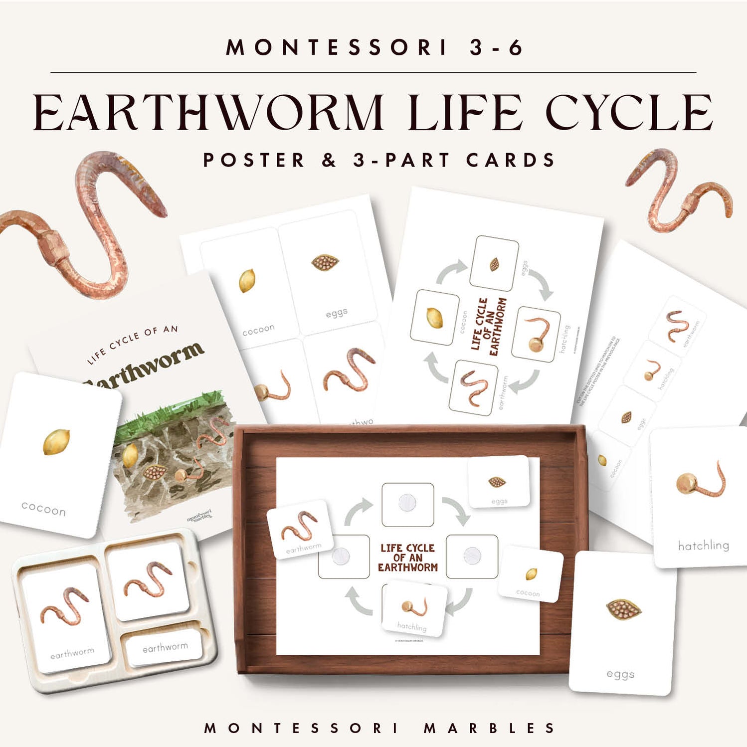 Earthworm Life Cycle 3 Part Cards | Montessori Science PDF — Montessori ...