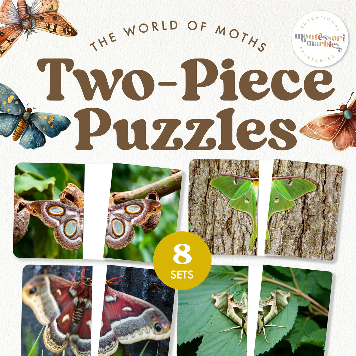 Moths Complete the Pictures | 8 Sets Two-Piece Insect Matching Ages 3-6 ...