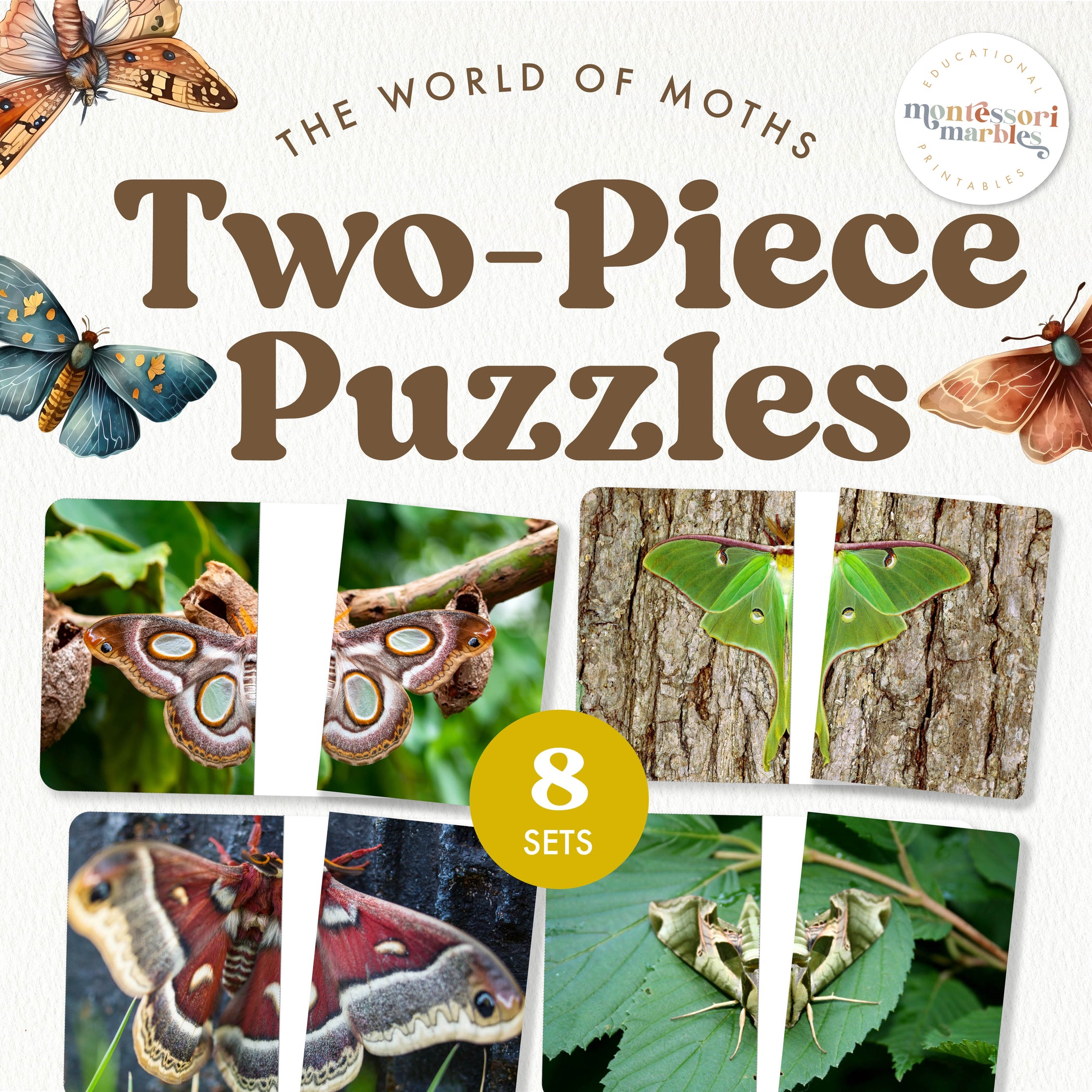 Moths Complete the Pictures | 8 Sets Two-Piece Insect Matching Ages 3-6 ...