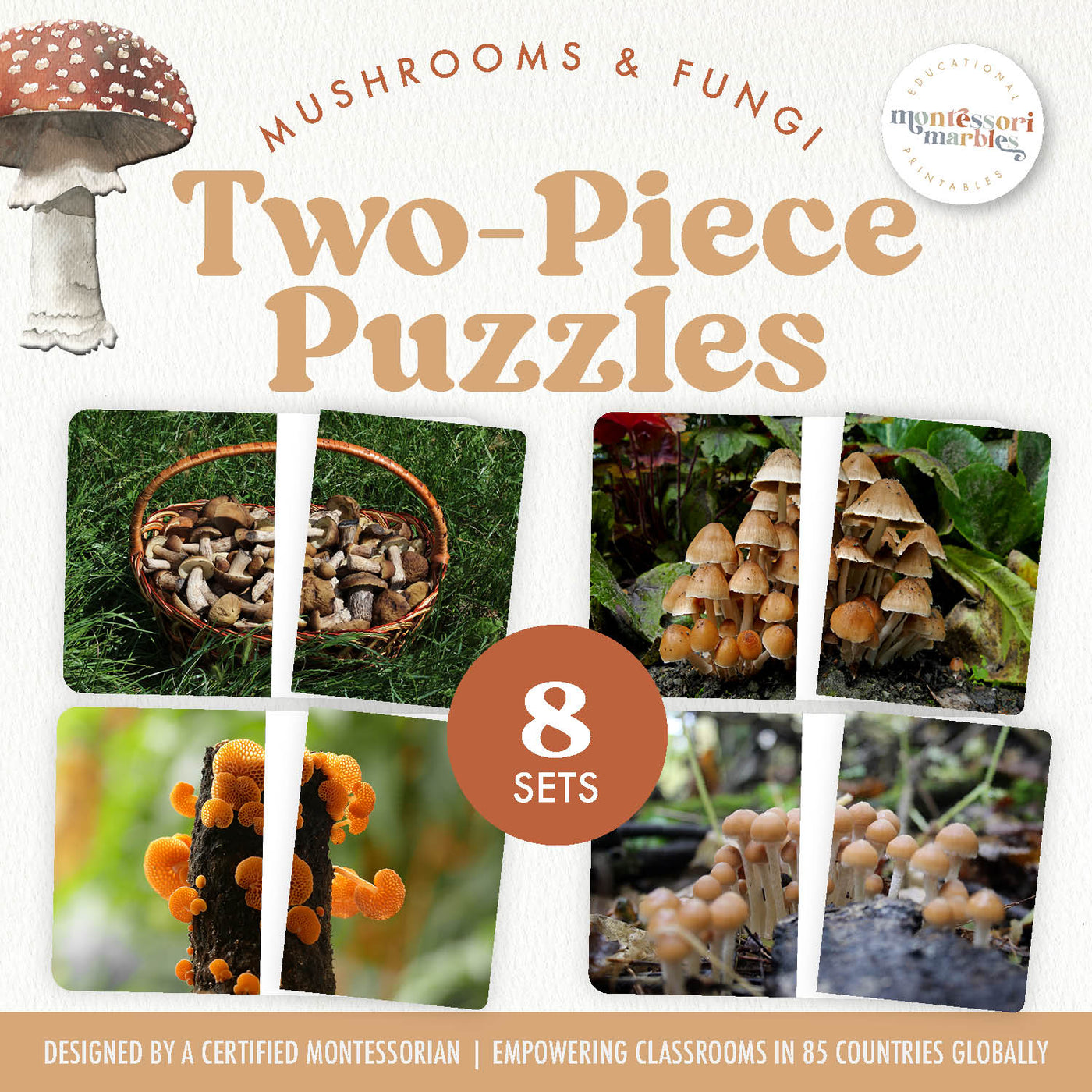 Mushroom Complete The Pictures | 8 Sets Two-Piece Nature Ages 3-6 ...