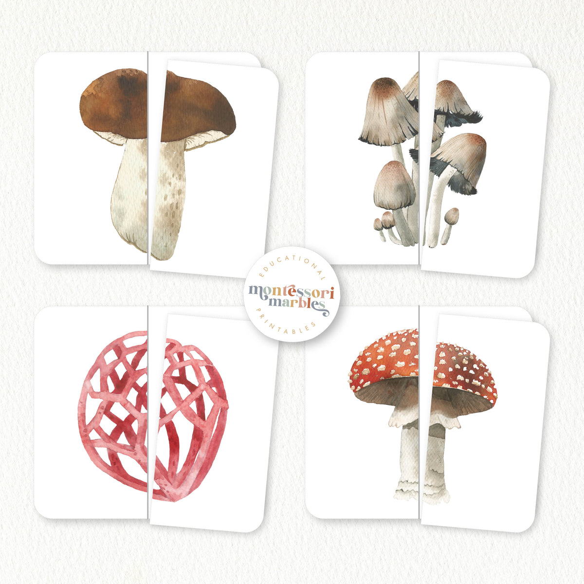 Mushrooms & Fungi Activity Bundle – Montessori Marbles