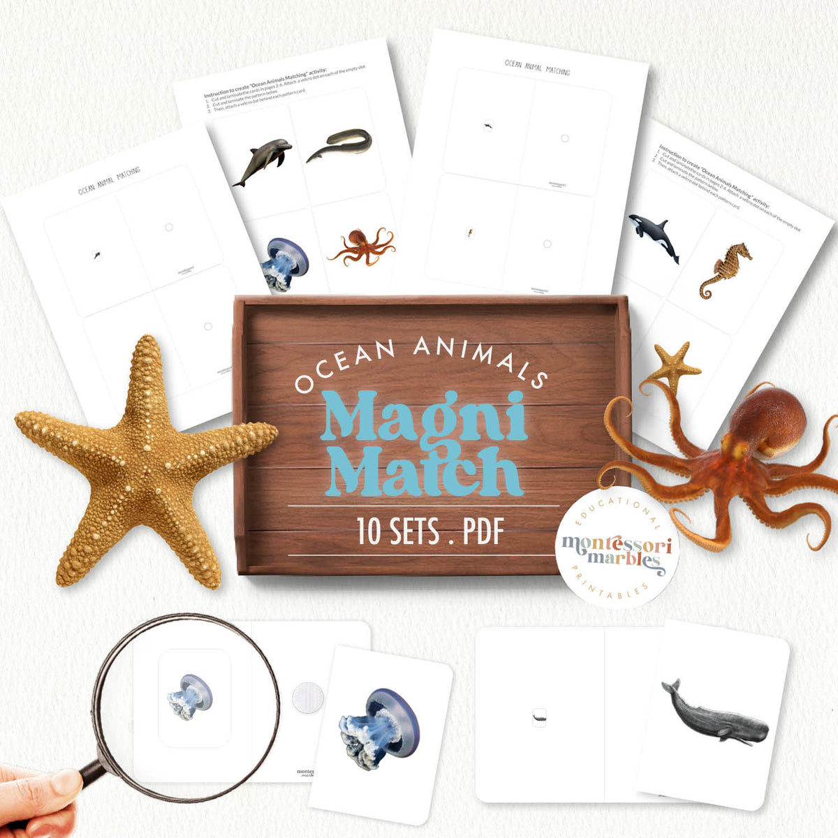 Ocean Animals Magni-Match – Montessori Marbles