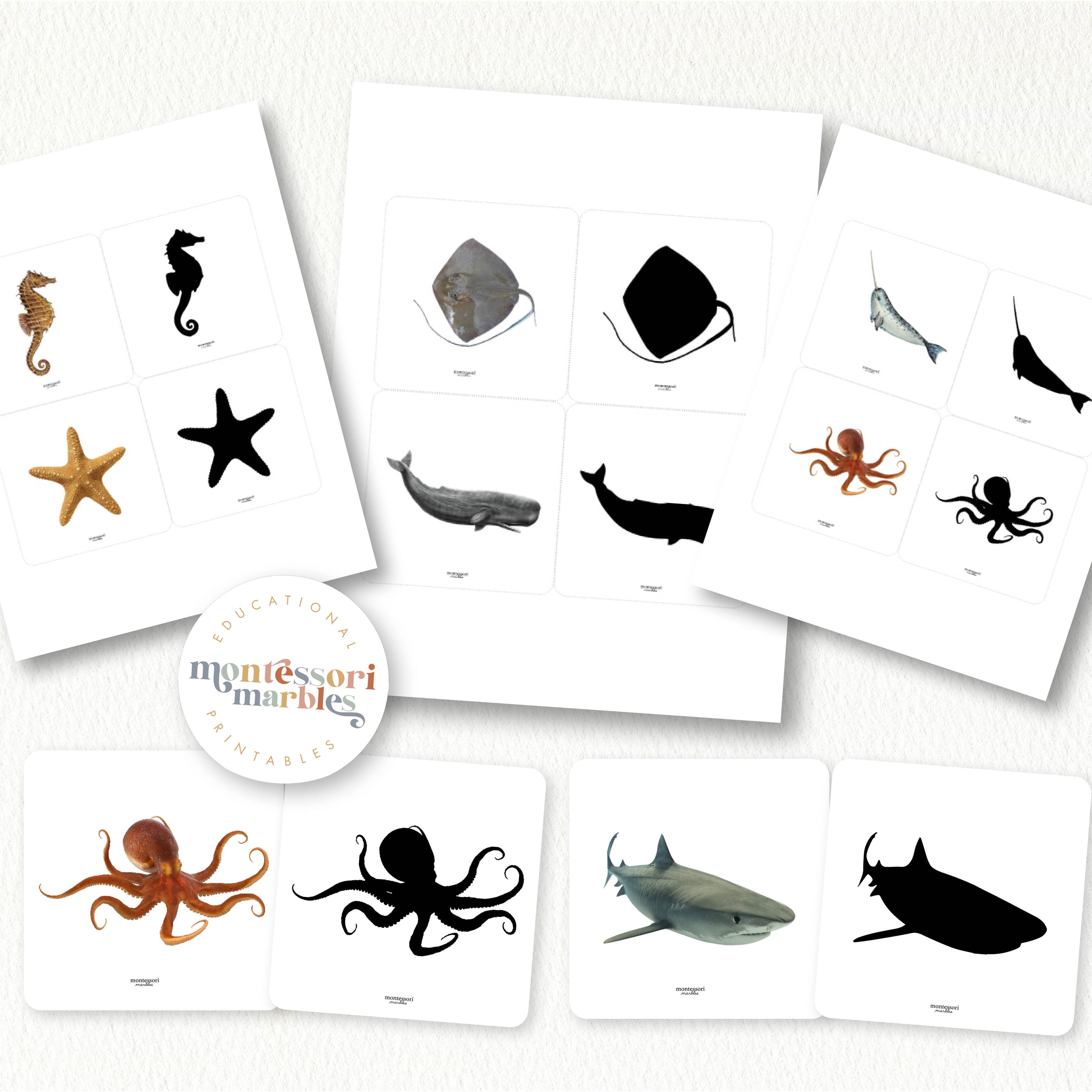 Ocean Animals Shadow Matching | 10 Sets Visual Skills Sea Life Ages 3-6 ...