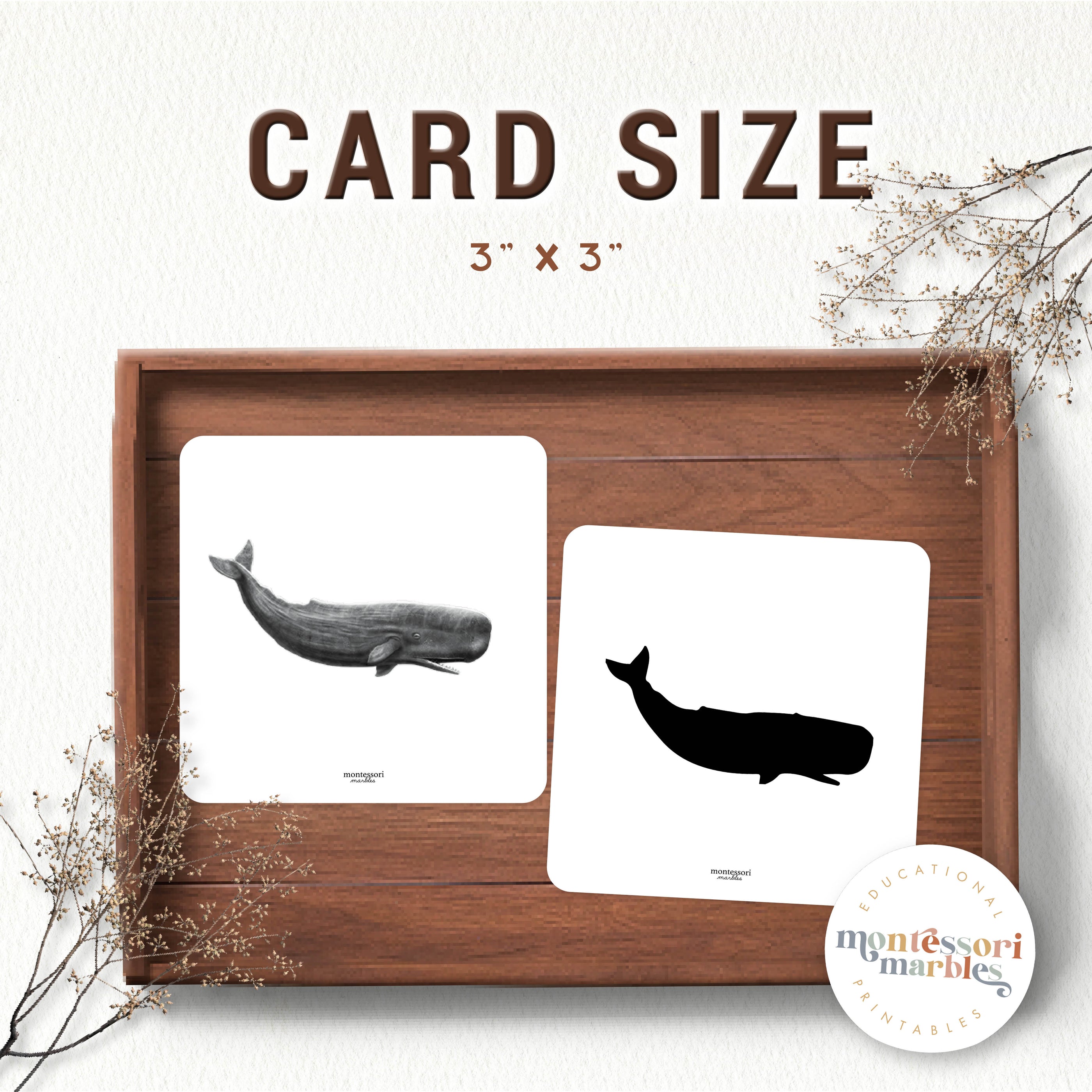 Ocean Animals Shadow Matching | 10 Sets Visual Skills Sea Life Ages 3-6 ...