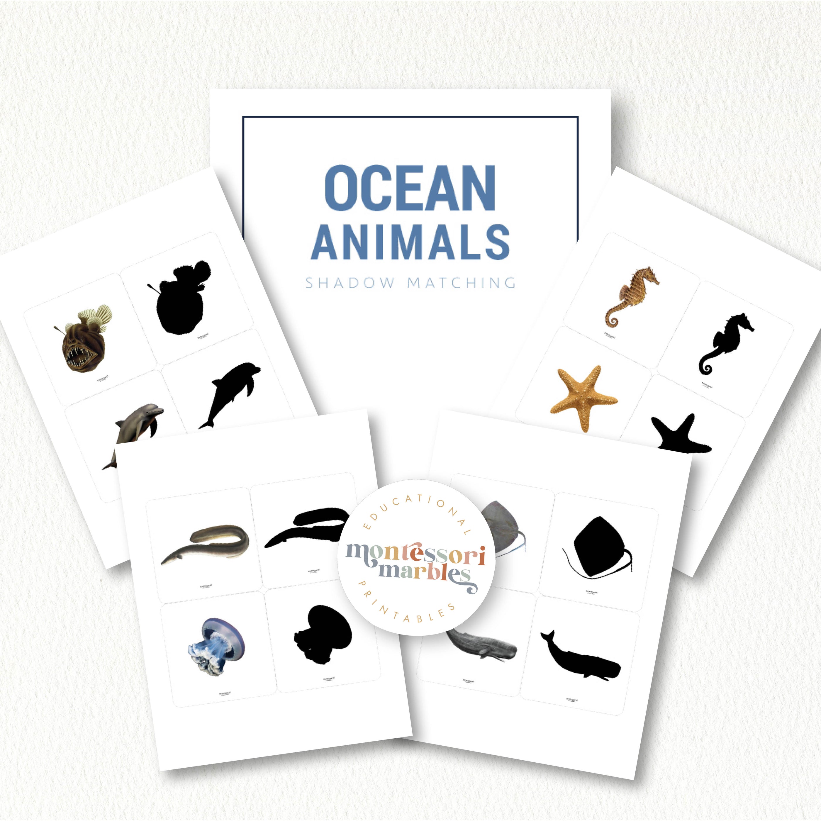 Ocean Animals Shadow Matching | 10 Sets Visual Skills Sea Life Ages 3-6 ...