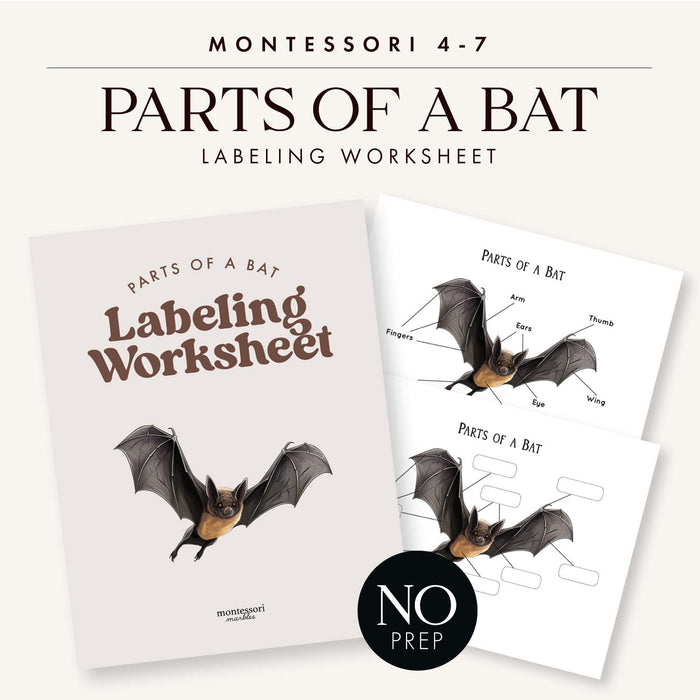 Parts of a Bat | 2 Pages Labeling Poster Zoology Science Ages 5-8 ...