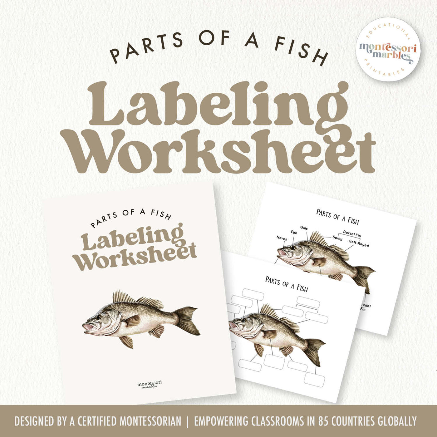 Parts of a Fish | 2 Pages Labeling Poster Zoology Science Ages 5-8 ...