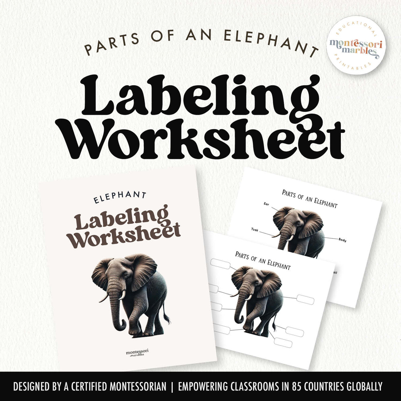 Parts of an Elephant | 2 Pages Labeling Poster Zoology Science Ages 5-8 ...