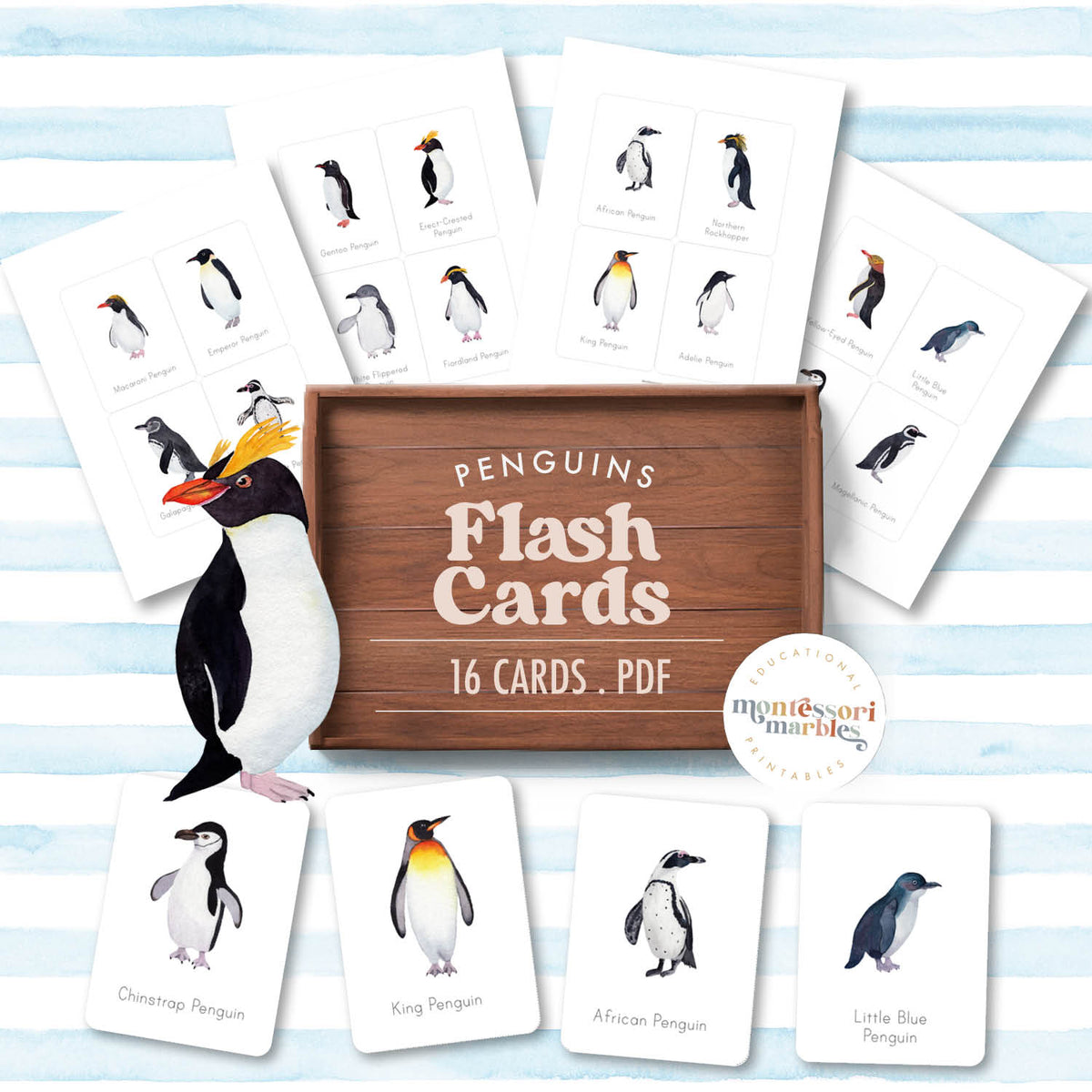 Penguins Flash Cards | Polar Animals Ages 3-6 — Montessori Marbles