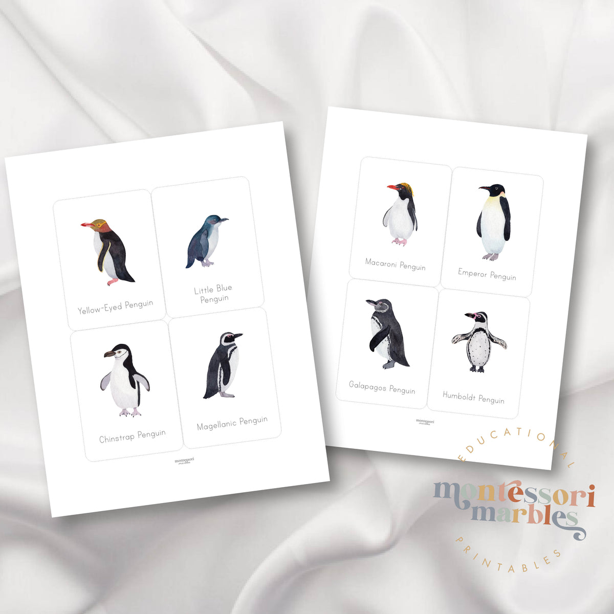 Penguins Flash Cards – Montessori Marbles