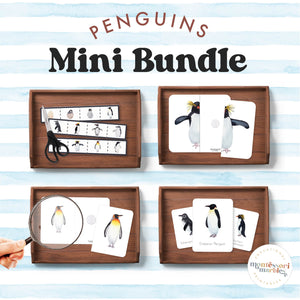 Penguins Mini Bundle | 4 Antarctica Activities Ages 2-6 | Winter ...