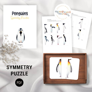 Penguins Mini Bundle | 4 Antarctica Activities Ages 2-6 | Winter ...