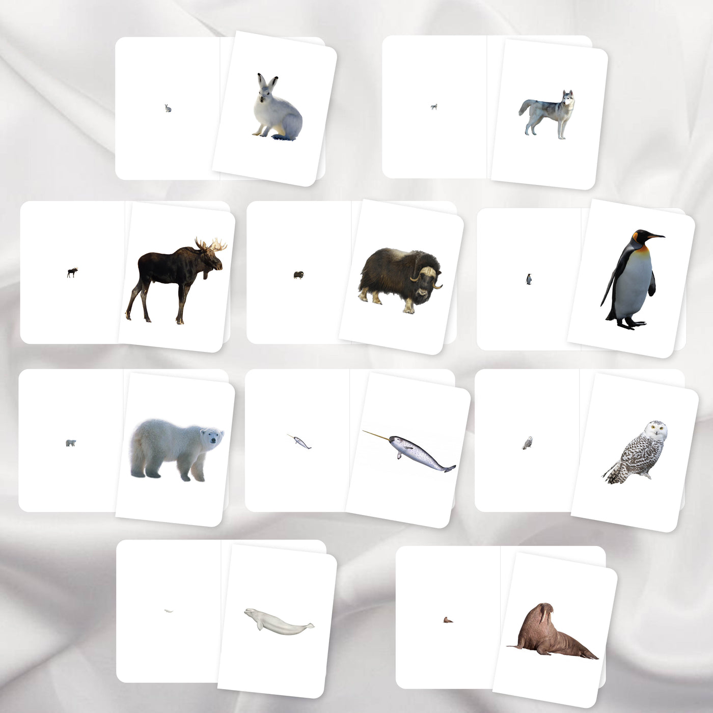 Polar Animals Bundle | 10 Arctic Activities Ages 3-6 Winter PDF ...