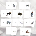 Polar Animals Bundle | 10 Arctic Activities Ages 3-6 Winter PDF ...