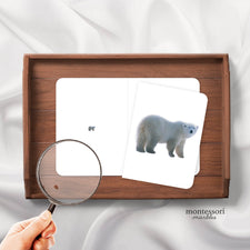 Polar Animals Bundle | 10 Arctic Activities Ages 3-6 Winter PDF ...