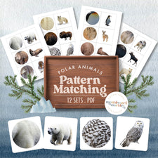 Polar Animals Bundle | 10 Arctic Activities Ages 3-6 Winter PDF ...