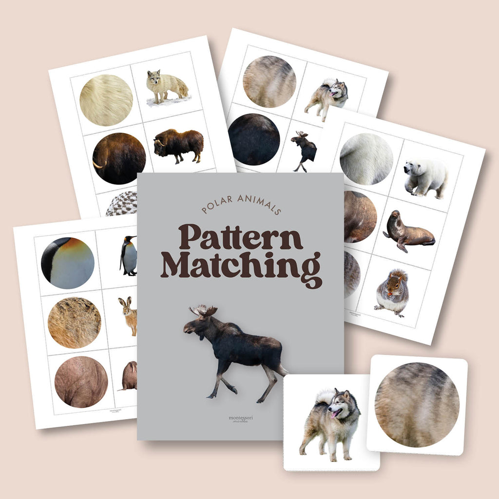 Polar Animals Activities | Arctic Montessori Printables Ages 3-6 ...