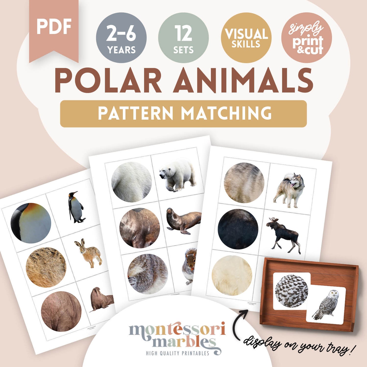 Polar Animals Pattern Matching | PreK-K Ages 3-6 Visual Skills PDF ...