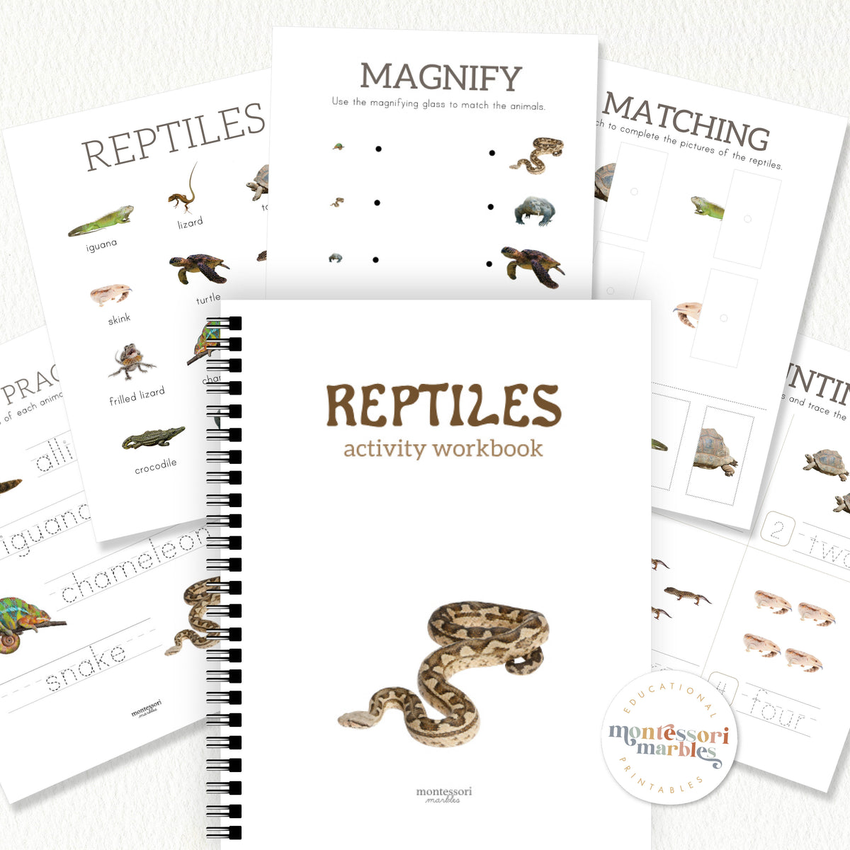 Reptiles Activity Workbook – Montessori Marbles