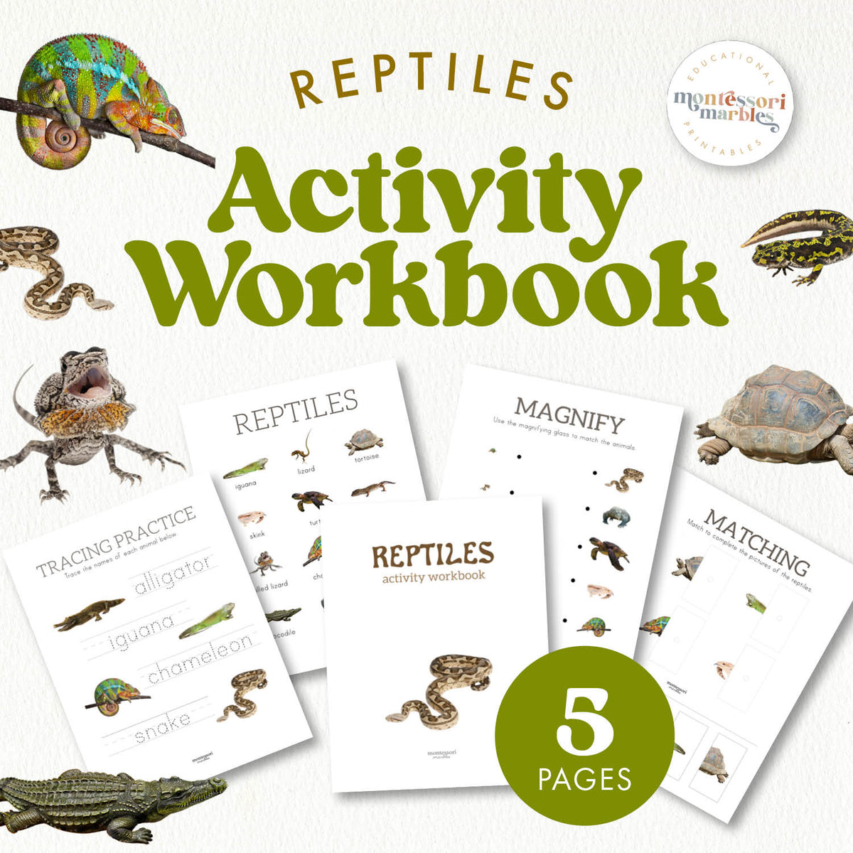 Reptiles Activity Workbook | Science Worksheets Real Photos Ages 4-8 ...