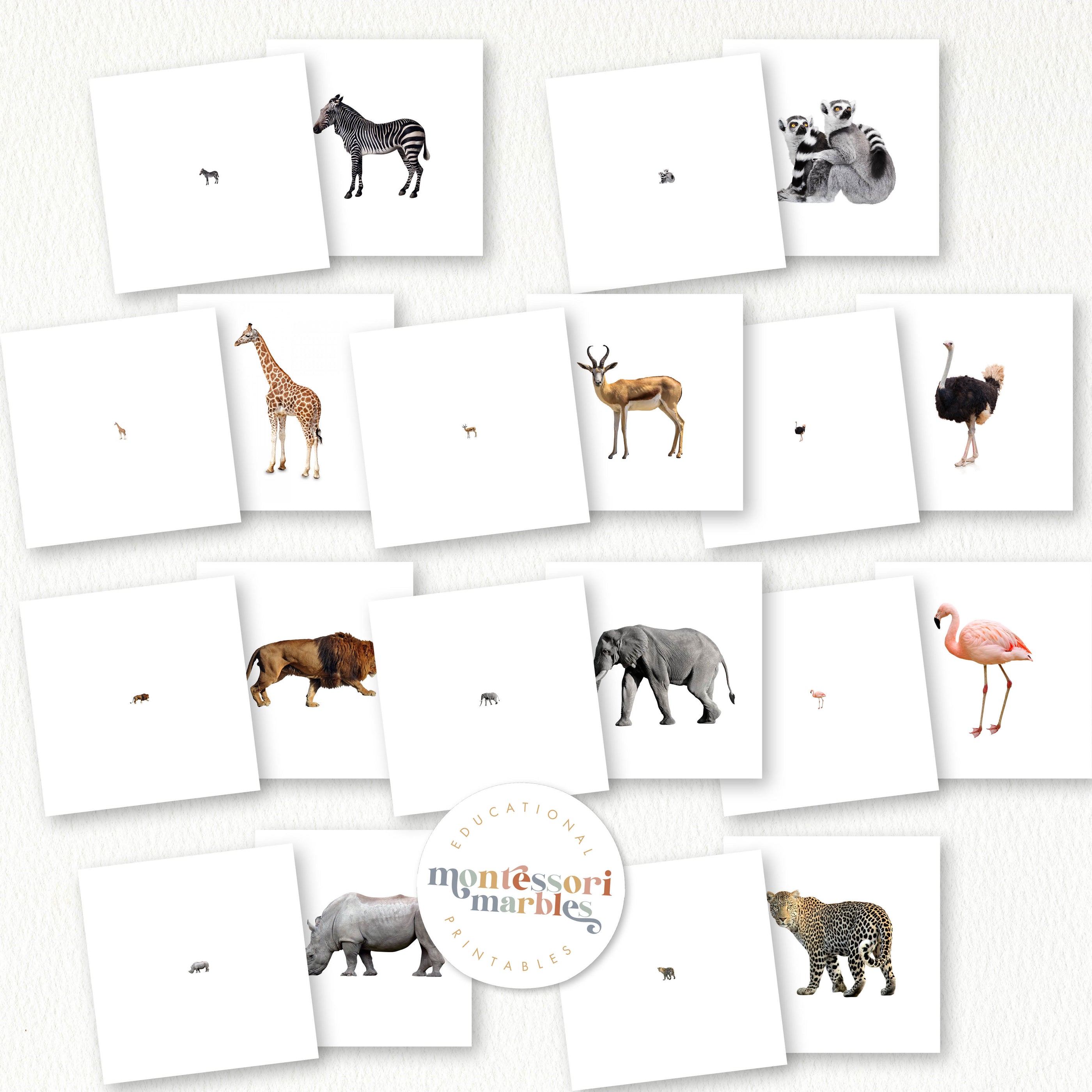 Safari Animals Magni Match | Matching Cards Real Photos Ages 3-6 PDF ...